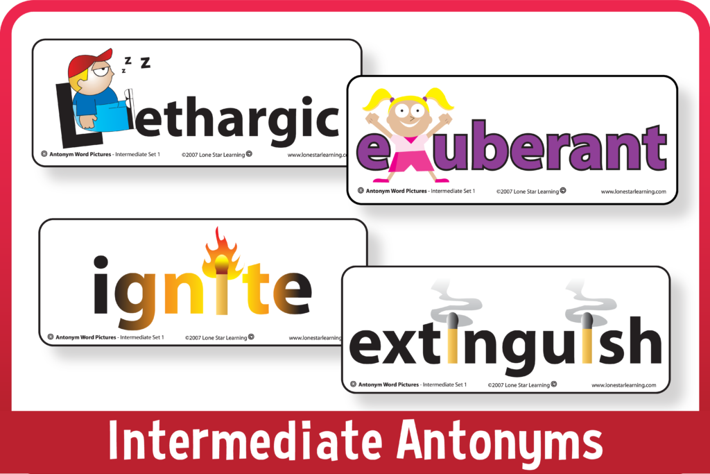 Antonym Word Pictures™ – Lone Star Learning