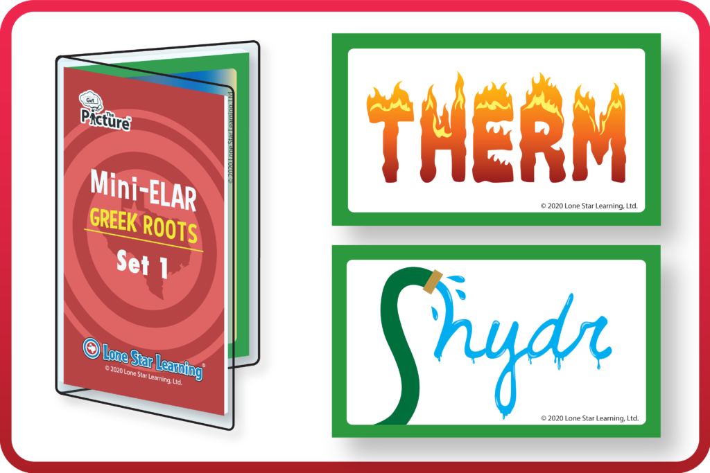 Mini Cards™ – Lone Star Learning